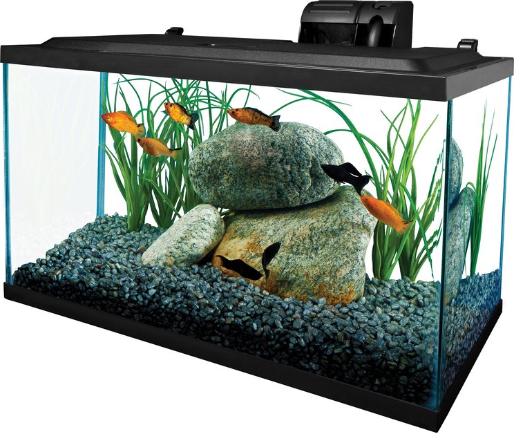 Saltwater Aquariums & Fish Tanks | Chewy