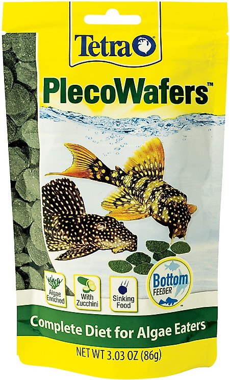 Bottom Feeder Fish Food | Chewy