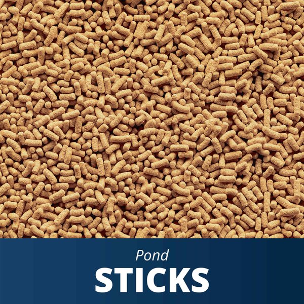 TETRA Pond Sticks Goldfish & Koi Fish Food, 1-lb bag - Chewy.com