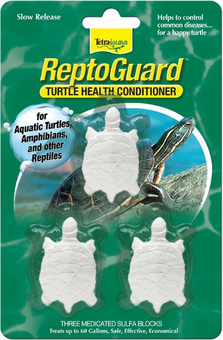 Turtle Supplies & Accessories - Free shipping | Chewy