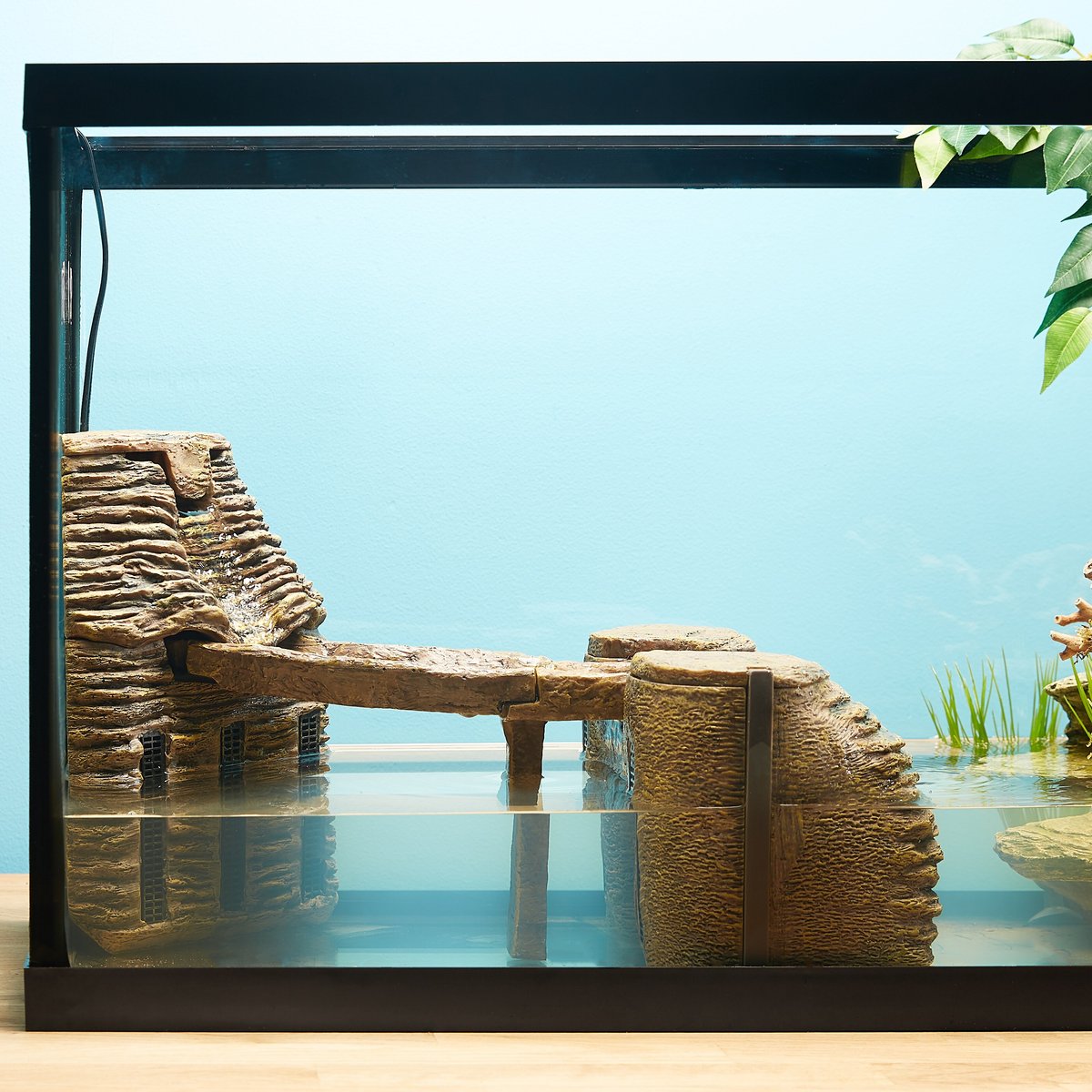 TETRAFAUNA Viquarium Terrarium & Aquarium Filter, 20-55 gal - Chewy.com