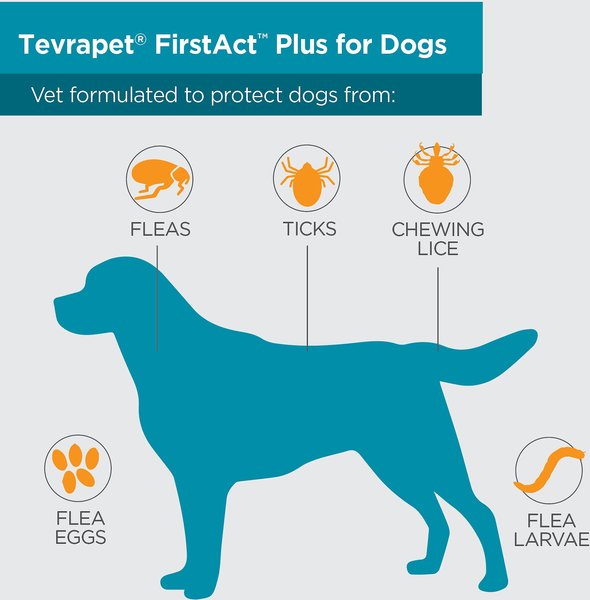TEVRAPET FirstAct Plus Flea & Tick Spot Treatment for Dogs, 45 - 88 lbs ...