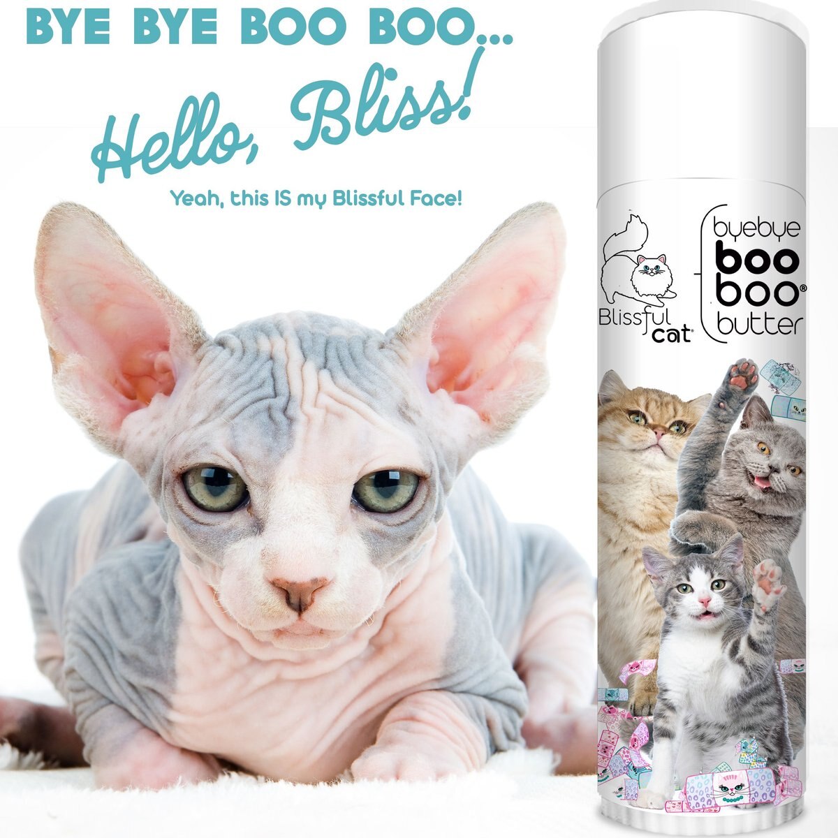 THE BLISSFUL DOG Boo Boo Cat Paw Cream, 0.50-fl oz tube - Chewy.com