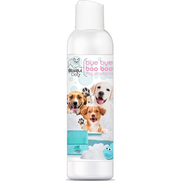 DOUXO Skin & Coat SPA Ultra-Safe Itch Relief Dog Shampoo, 16-fl oz ...