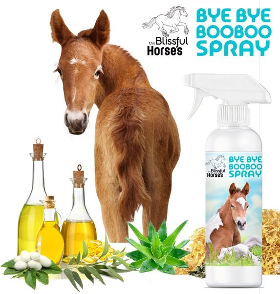 THE BLISSFUL DOG Bye Bye Boo Boo Horse Skin Spray, 8-fl oz bottle ...