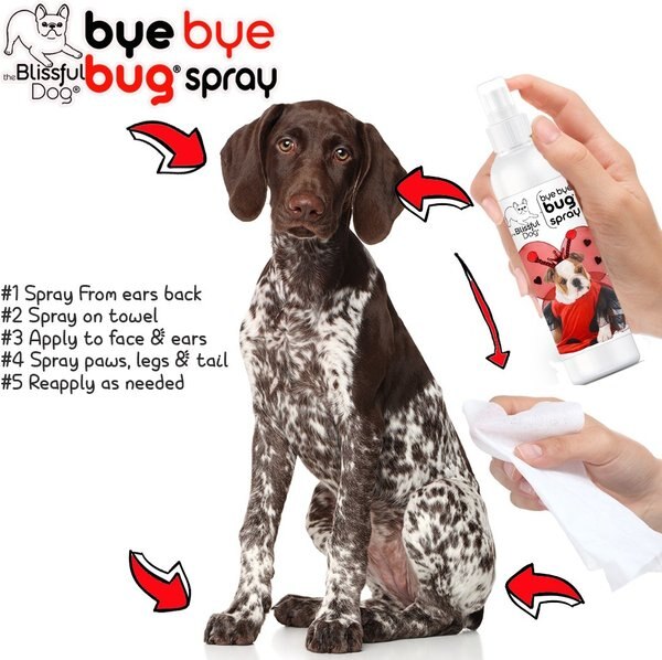 THE BLISSFUL DOG Bye Bye Bug Dog Insect Repellent Spray, 8-fl oz bottle ...