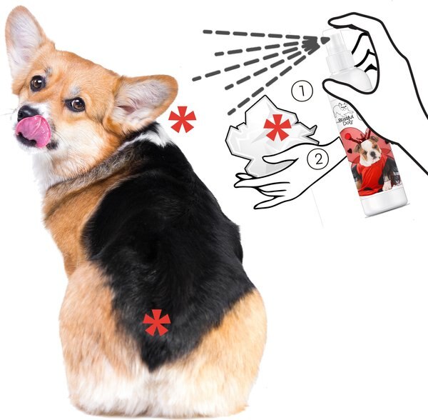 THE BLISSFUL DOG Bye Bye Bug Dog Insect Repellent Spray, 8-fl oz bottle ...