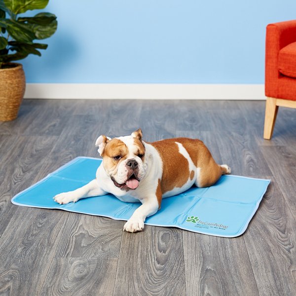 7 Best Cooling Dog Mats & Pads 2026: According to Reviews | Chewy