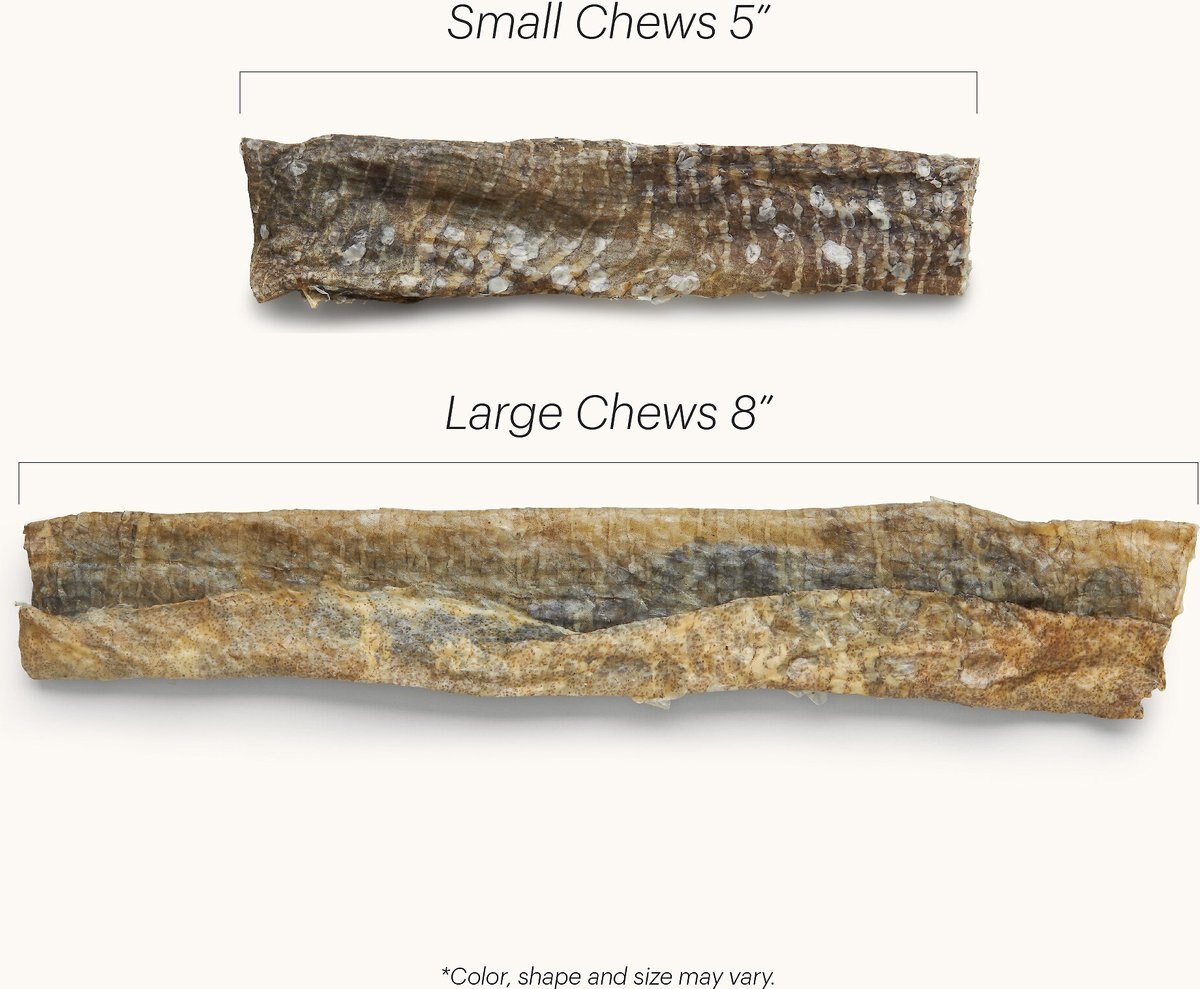 THE HONEST KITCHEN Beams Ocean Chews Cod Fish Skins Dehydrated Dog ...