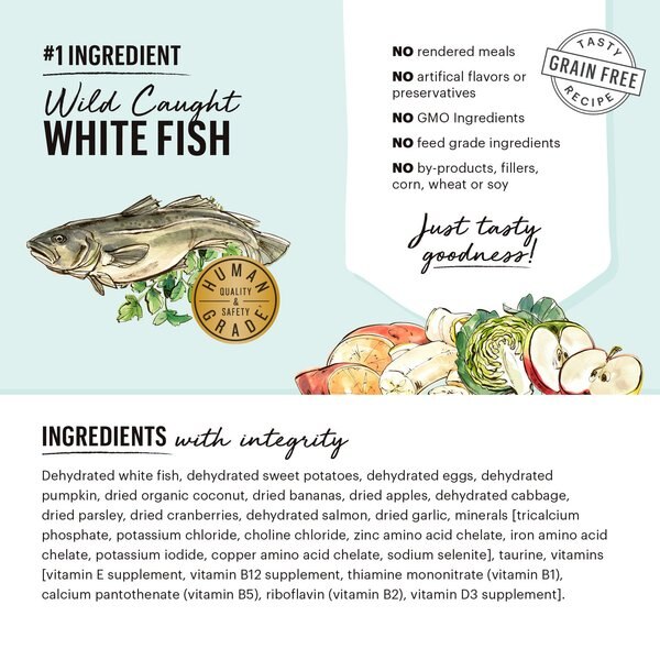 THE HONEST KITCHEN Fish Recipe Grain-Free Dehydrated Dog Food, 10-lb ...