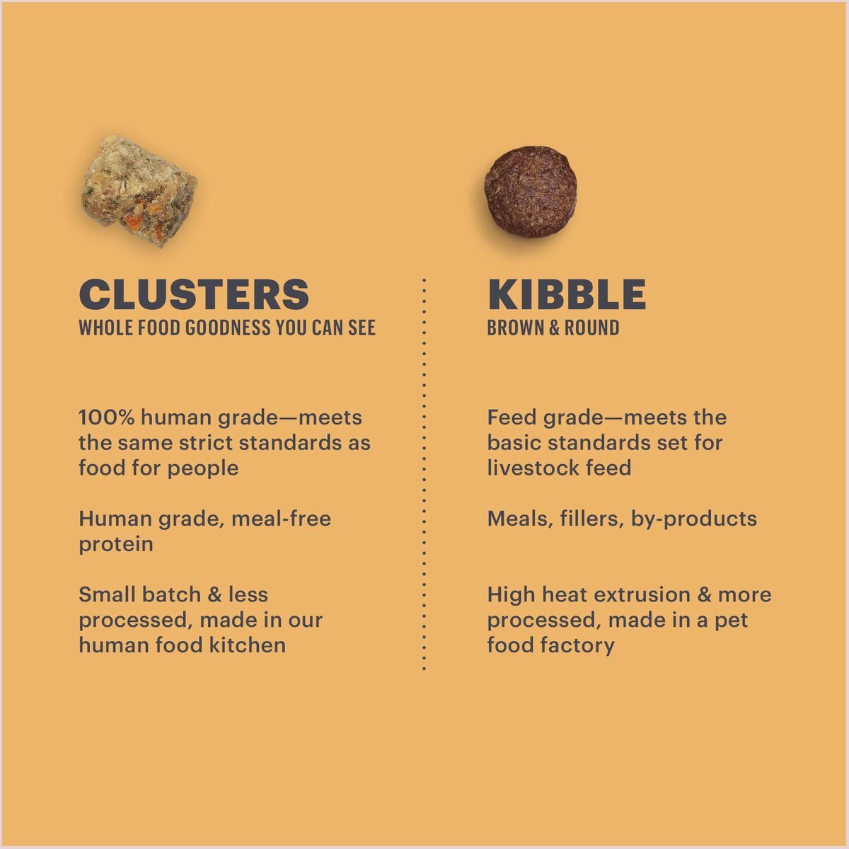 THE HONEST KITCHEN Food Clusters Whole Grain Chicken & Oat Recipe Dog ...