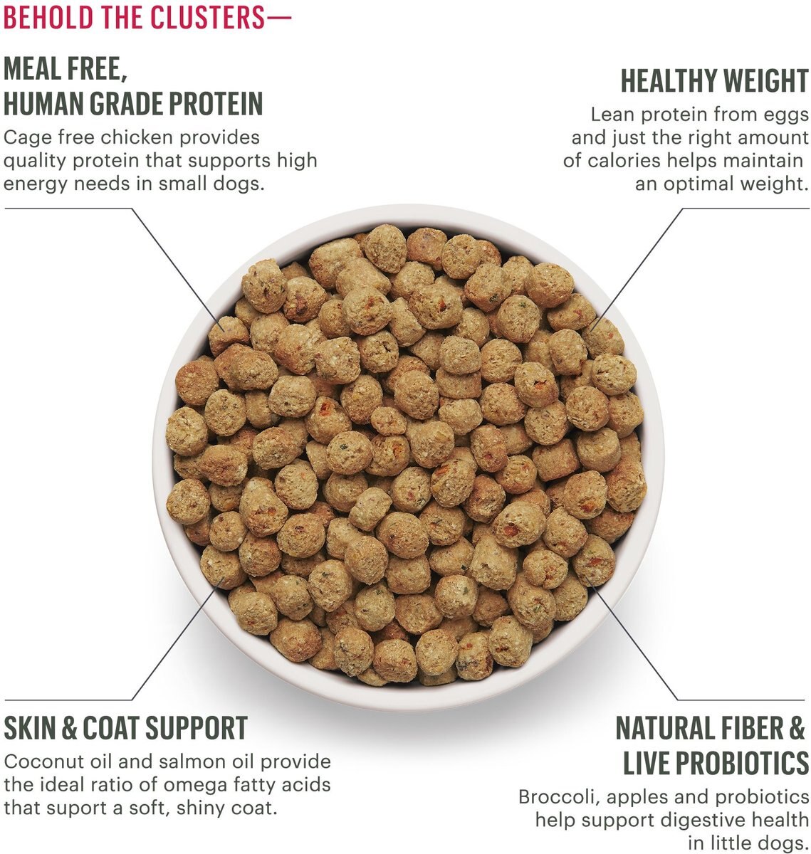 THE HONEST KITCHEN Food Clusters Whole Grain Chicken & Oat Recipe Small ...