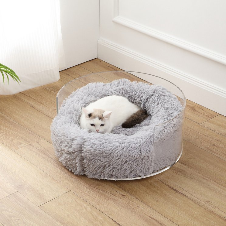Elevated Dog Beds - Page 3 (Free Shipping) | Chewy