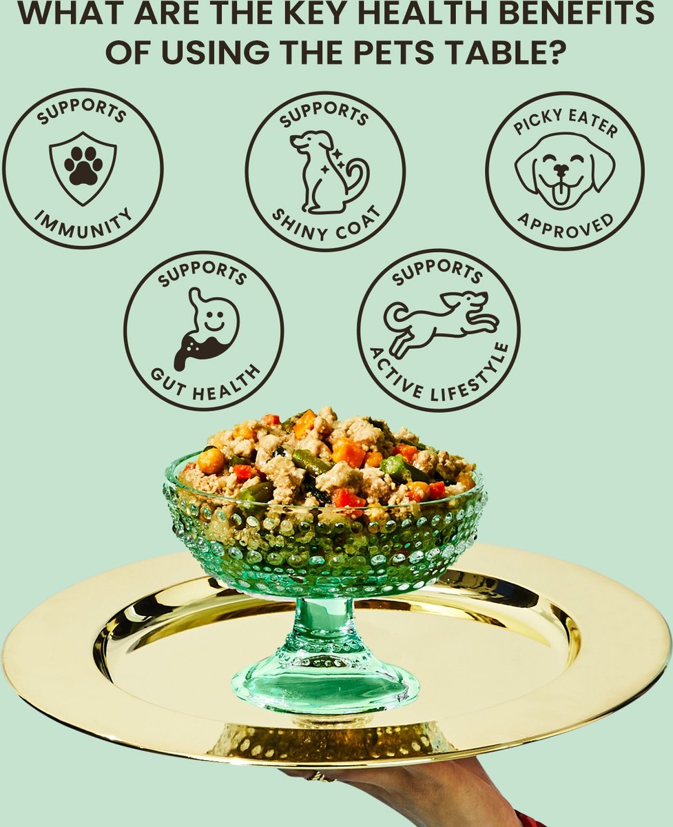 THE PETS TABLE Freshly-Made Frozen Human-Grade Chicken Casserole Dog ...