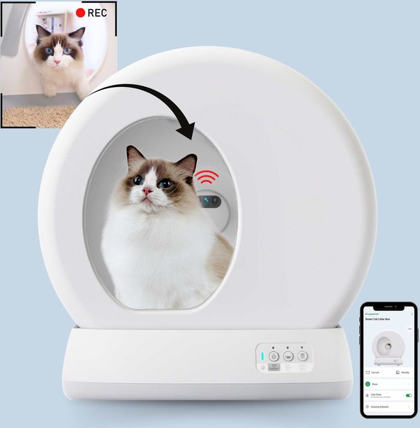 Cat Automatic Litter Boxes - Free shipping | Chewy