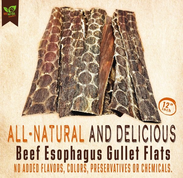 THE TREAT SHACK 12-in Beef Esophagus Gullet Flats Dog Treat, 10 count ...