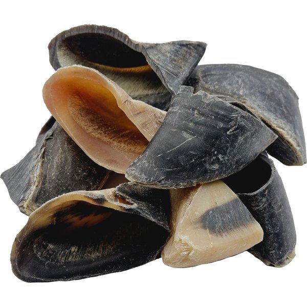 HOTSPOT PETS 12-in Flat Beef Gullet Dog Treats, 50 count - Chewy.com