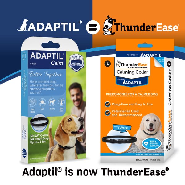 THUNDEREASE Powered by ADAPTIL Calming Pheromone Collar for Dogs, Large ...