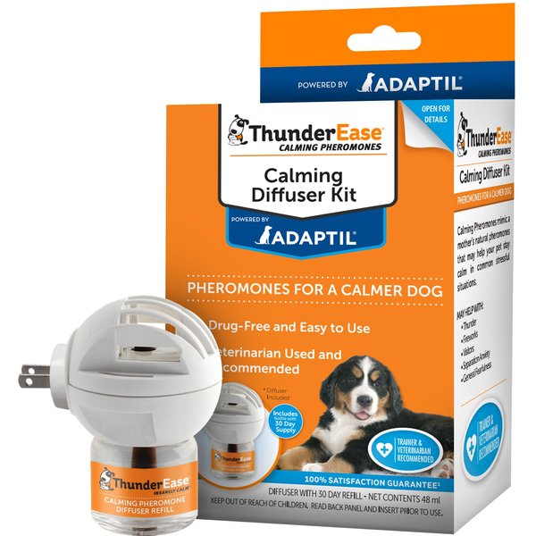 THUNDERCAP Calming Cap for Dogs, Small - Chewy.com