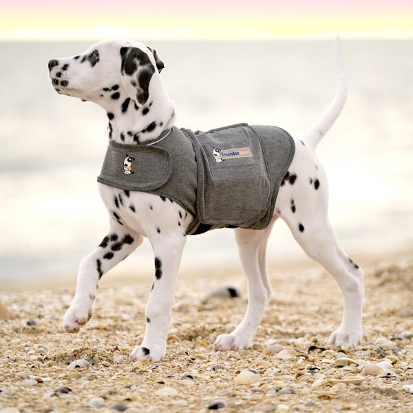 THUNDERSHIRT Classic Anxiety & Calming Vest for Dogs, Heather Grey, XX ...