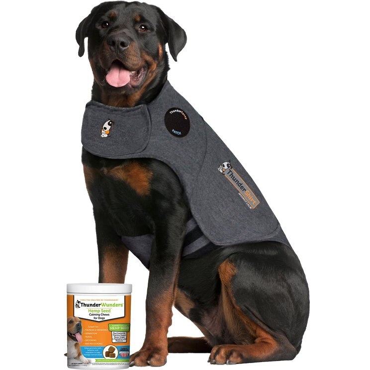 ThunderShirt - Free shipping | Chewy