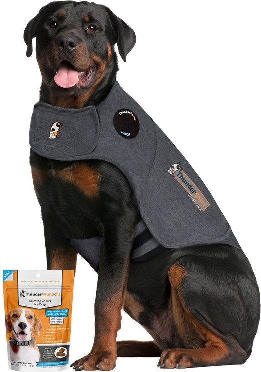 Calming Apparel For Dogs: Coats, Wraps & More (Free Shipping) | Chewy