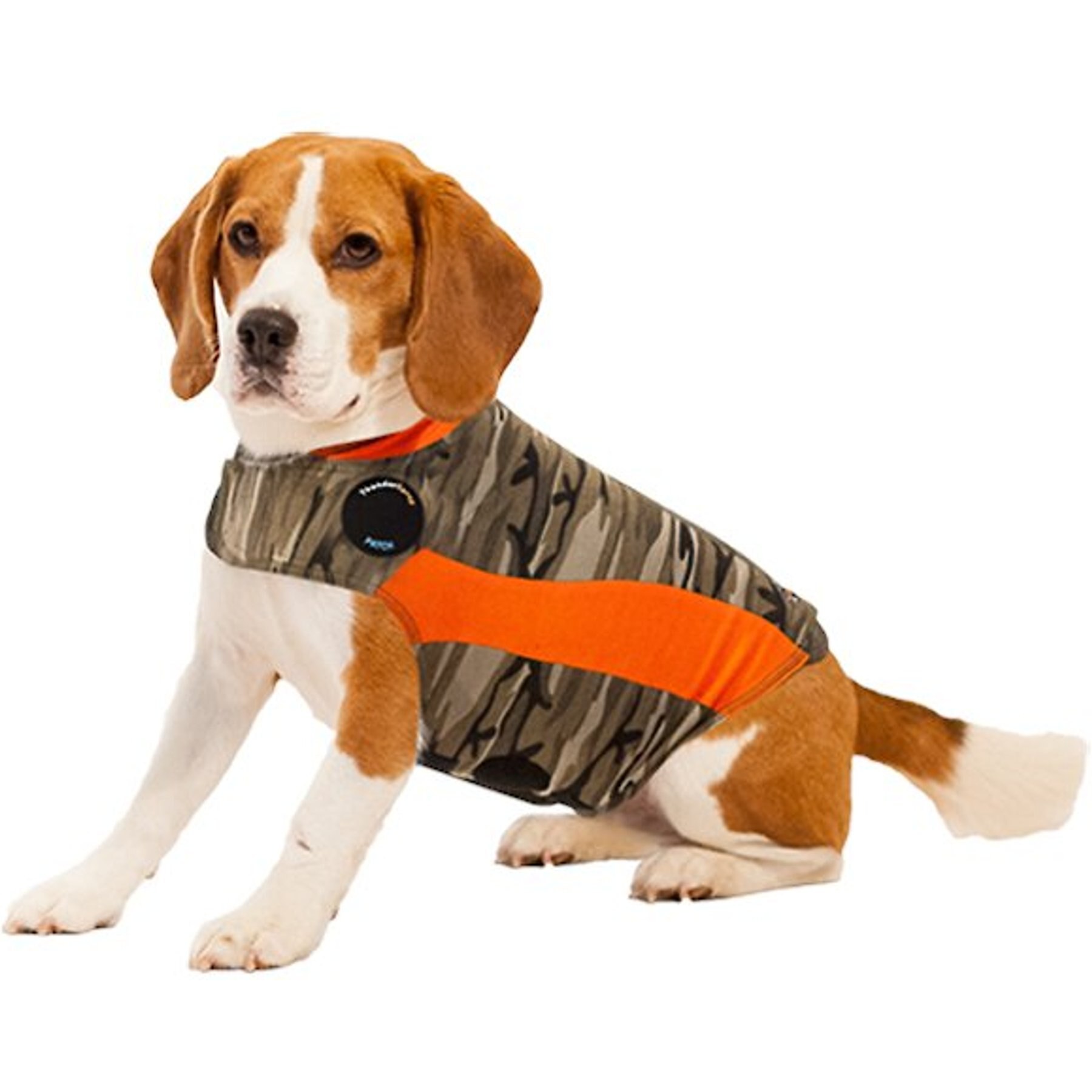 firework jacket for dogs