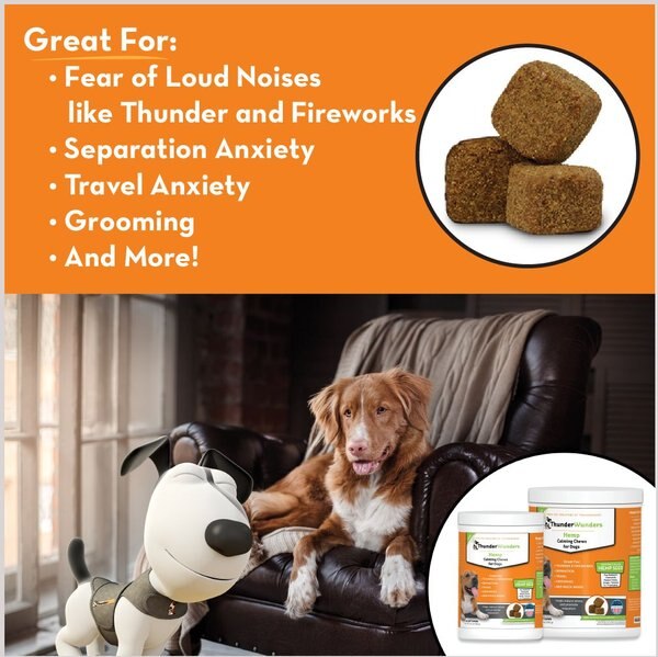 THUNDERWUNDERS Hemp Calming Dog Chews, 60 Count - Chewy.com