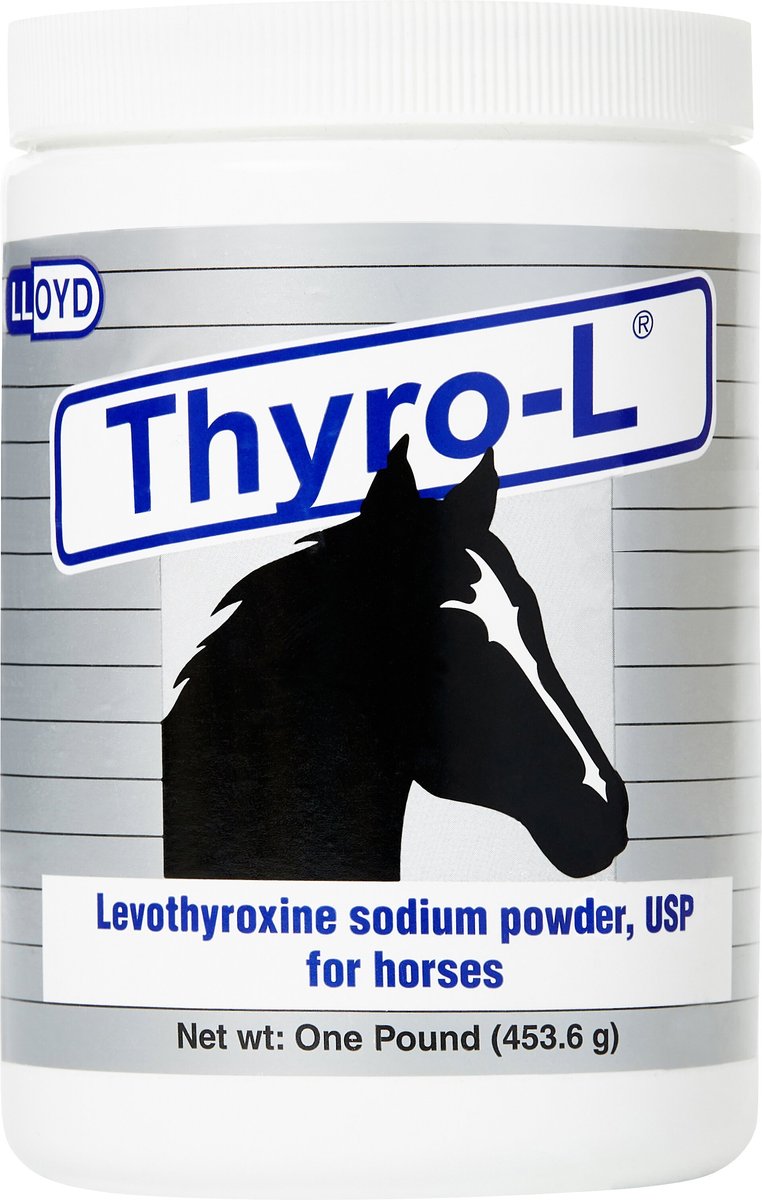 THYRO-L (levothyroxine sodium) Powder for Horses, 1-lb - Easy Refills ...