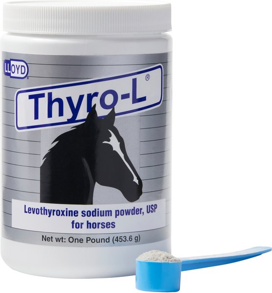 THYRO-L (levothyroxine sodium) Powder for Horses, 1-lb - Easy Refills ...