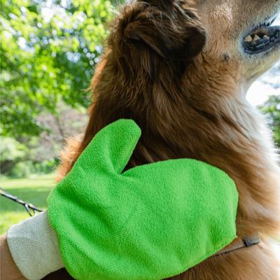 TICK MITT Microfiber Tick Remover for Dogs & Cats, Green - Chewy.com