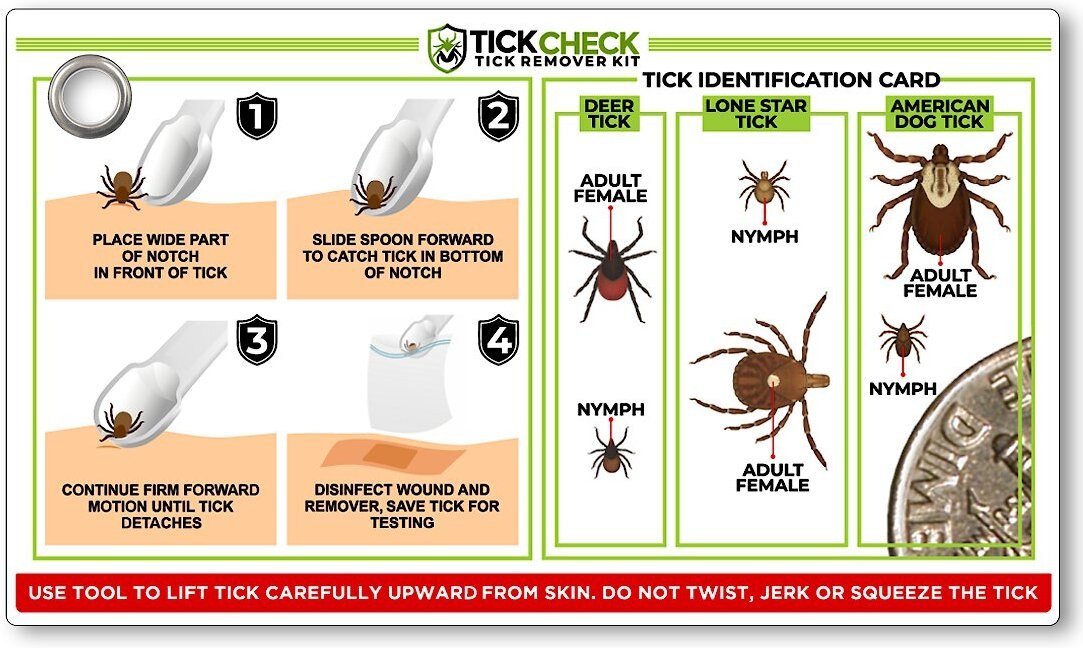 TICKCHECK Remover Spoon with Tick ID Card, 3-pack - Chewy.com