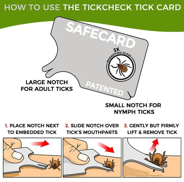 TICKCHECK Wallet Sized Tick Removal Card - Chewy.com