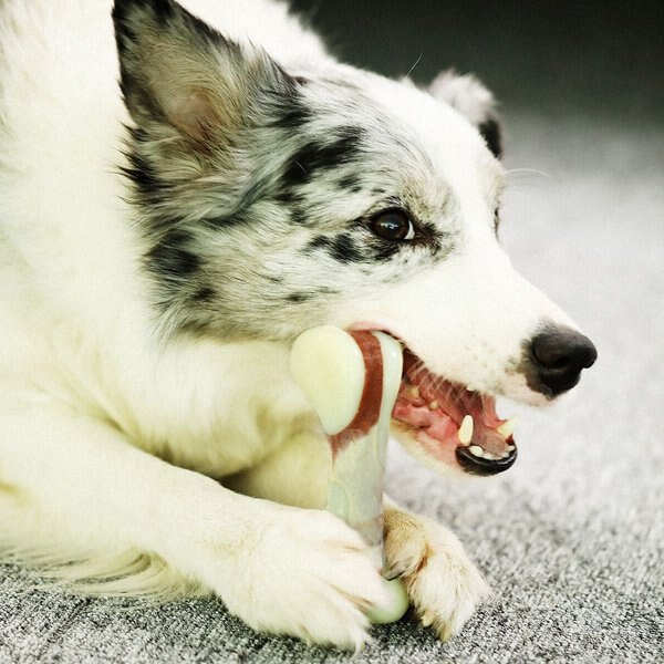 TIKATON Beef Flavored Dog Chew Toy, Medium - Chewy.com