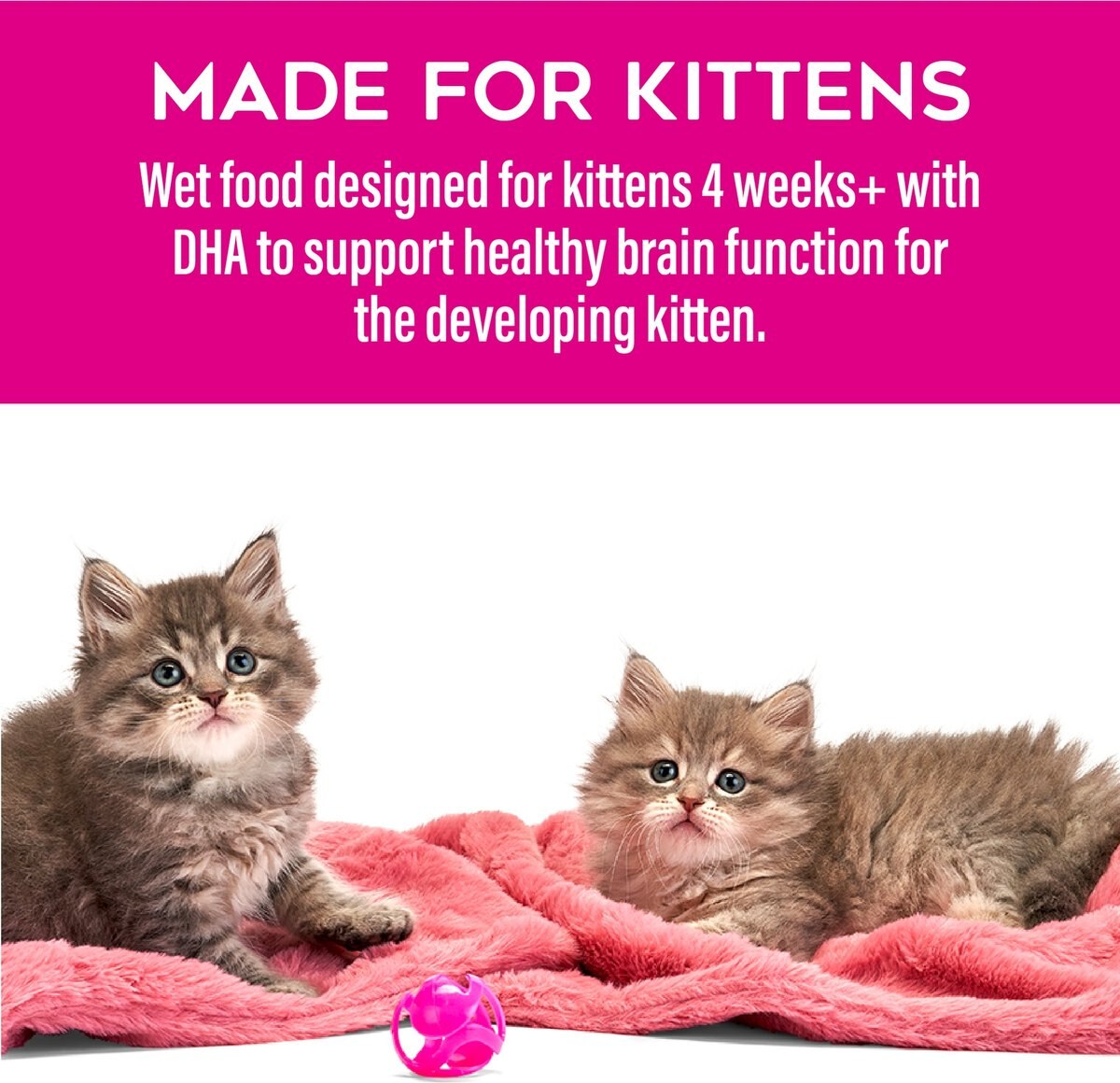 TIKI CAT Baby Chicken & Chicken Liver Pate Grain-Free Wet Kitten Food ...