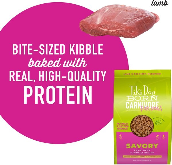TIKI DOG Born Carnivore Savory Grain-Free Lamb, Peas & Lentils Recipe ...