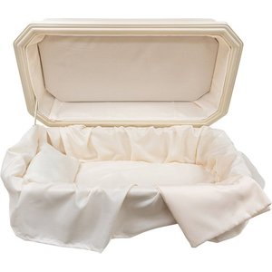TITAN CASKET Platinum Pet Casket, Almond, Cream, Medium - Chewy.com