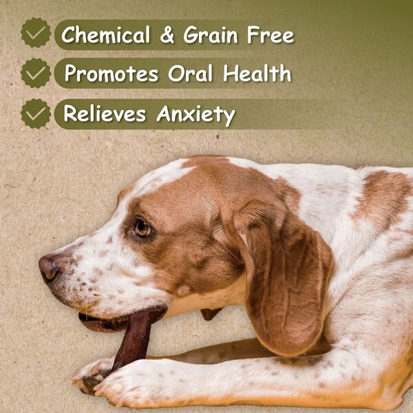 TOP DOG CHEWS Premium 6" Bully Stick Dog Treats, 25 count - Chewy.com