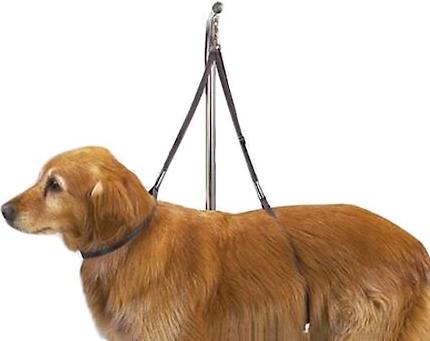TOP PERFORMANCE Adjustable Grooming Table Harness, 27 - 42-inches, 1 ...