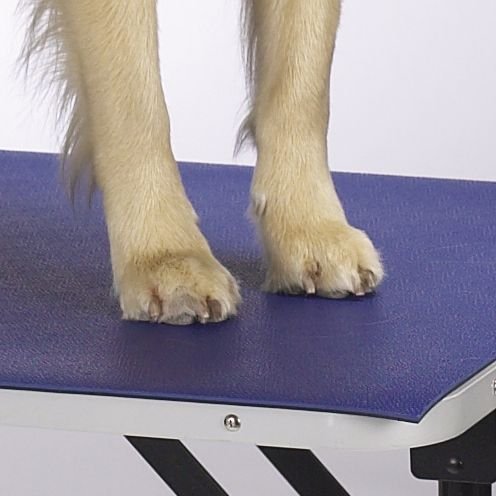 TOP PERFORMANCE Table Dog Mat, Blue, Small - Chewy.com