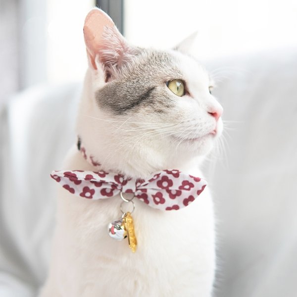TOUCHCAT Miss-Daisy Cotton Cat Collar with Bowtie & Bell, Red - Chewy.com
