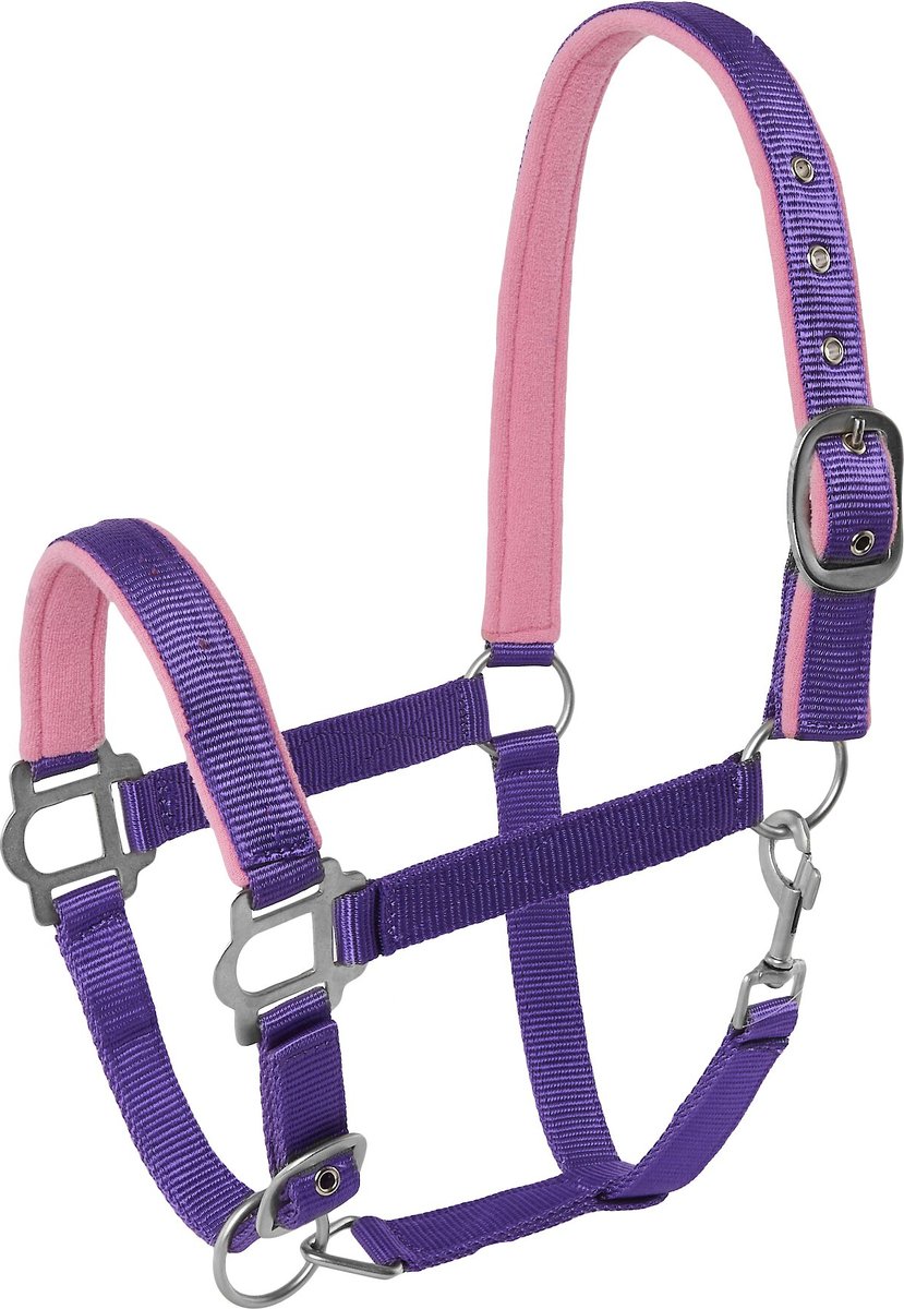 TOUGH1 Nylon Padded Halter with Satin Horse Hardware, Purple, Yearling ...