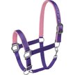 TOUGH1 Nylon Padded Halter with Satin Horse Hardware, Purple, Yearling ...