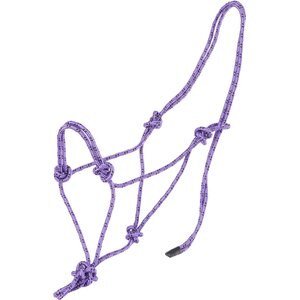 10 Best Horse Halters 2025: According to Reviews | Chewy