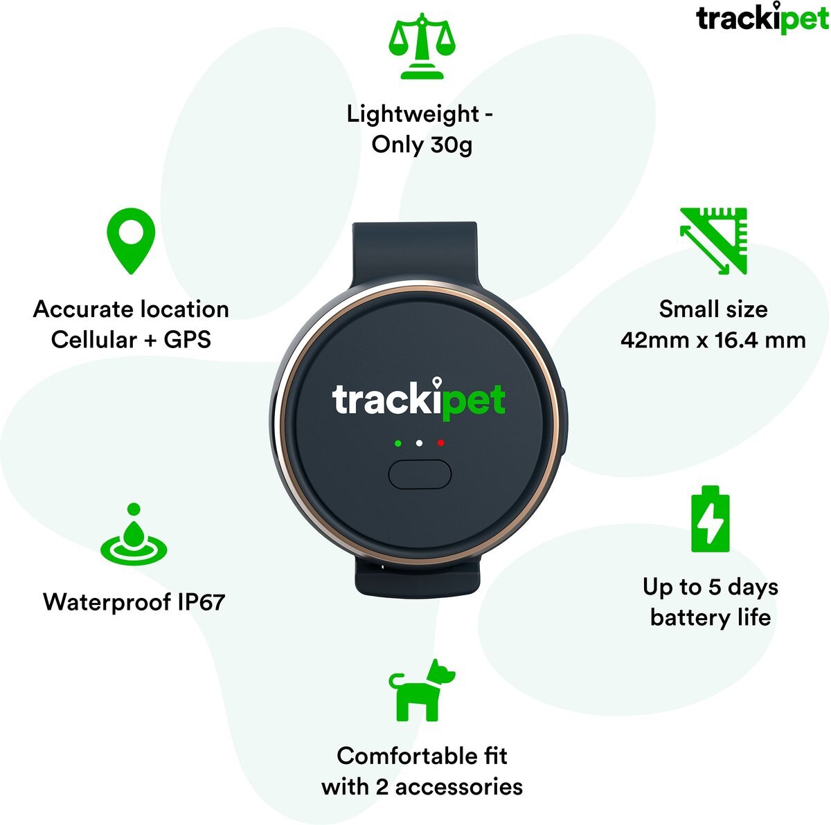 TRACKI TrackiPet Smart GPS Dog Tracker, Slate - Chewy.com