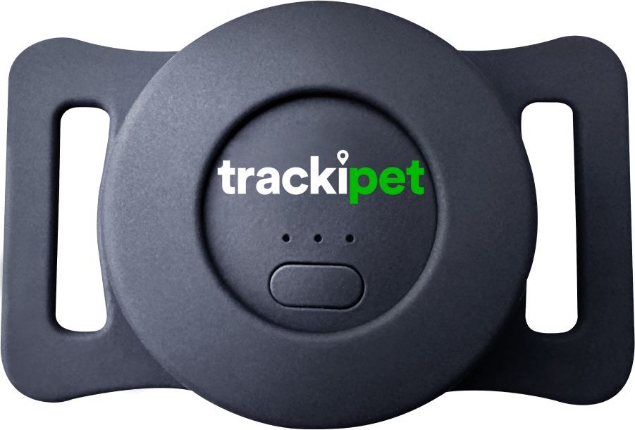 TRACKI TrackiPet Smart GPS Dog Tracker, Slate - Chewy.com