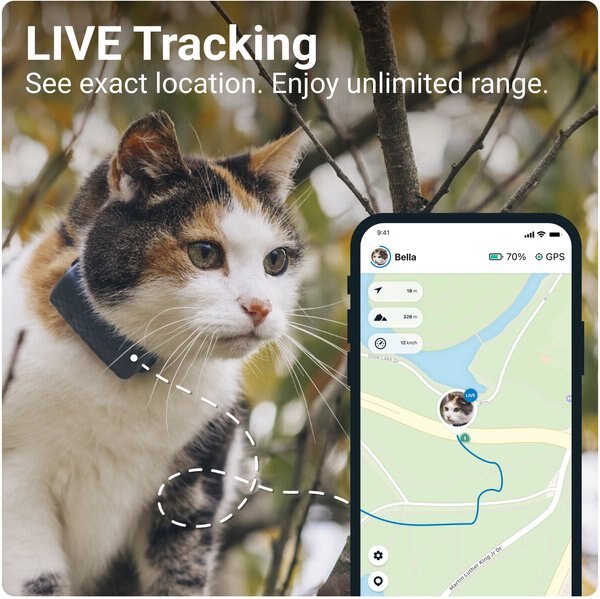 TRACTIVE Cat Mini GPS Tracker & Activity Monitor, Black - Chewy.com