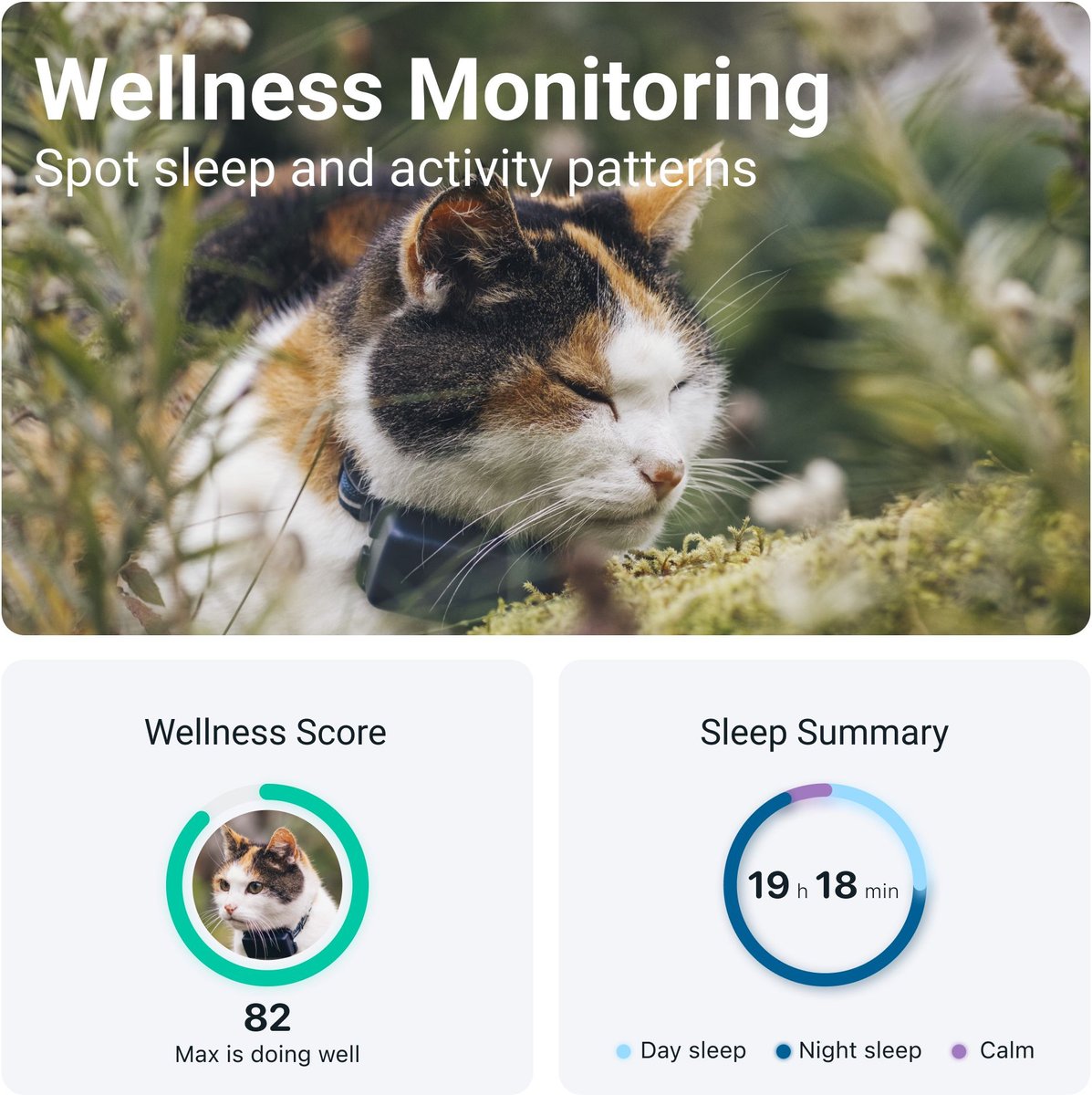 TRACTIVE Cat Mini GPS Tracker & Activity Monitor, Black - Chewy.com