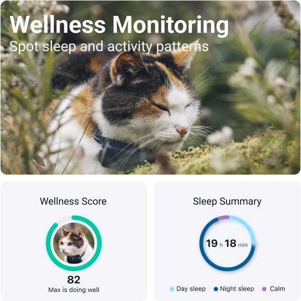 TRACTIVE Cat Mini GPS Tracker & Activity Monitor, Black - Chewy.com