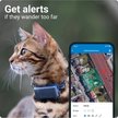 TRACTIVE Cat Mini GPS Tracker & Activity Monitor, Black - Chewy.com